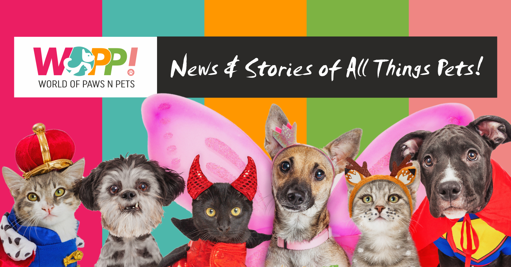WOPP - News & Stories